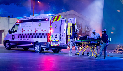 Public and Private Emergency Medical Services (EMS) - National Ambulance